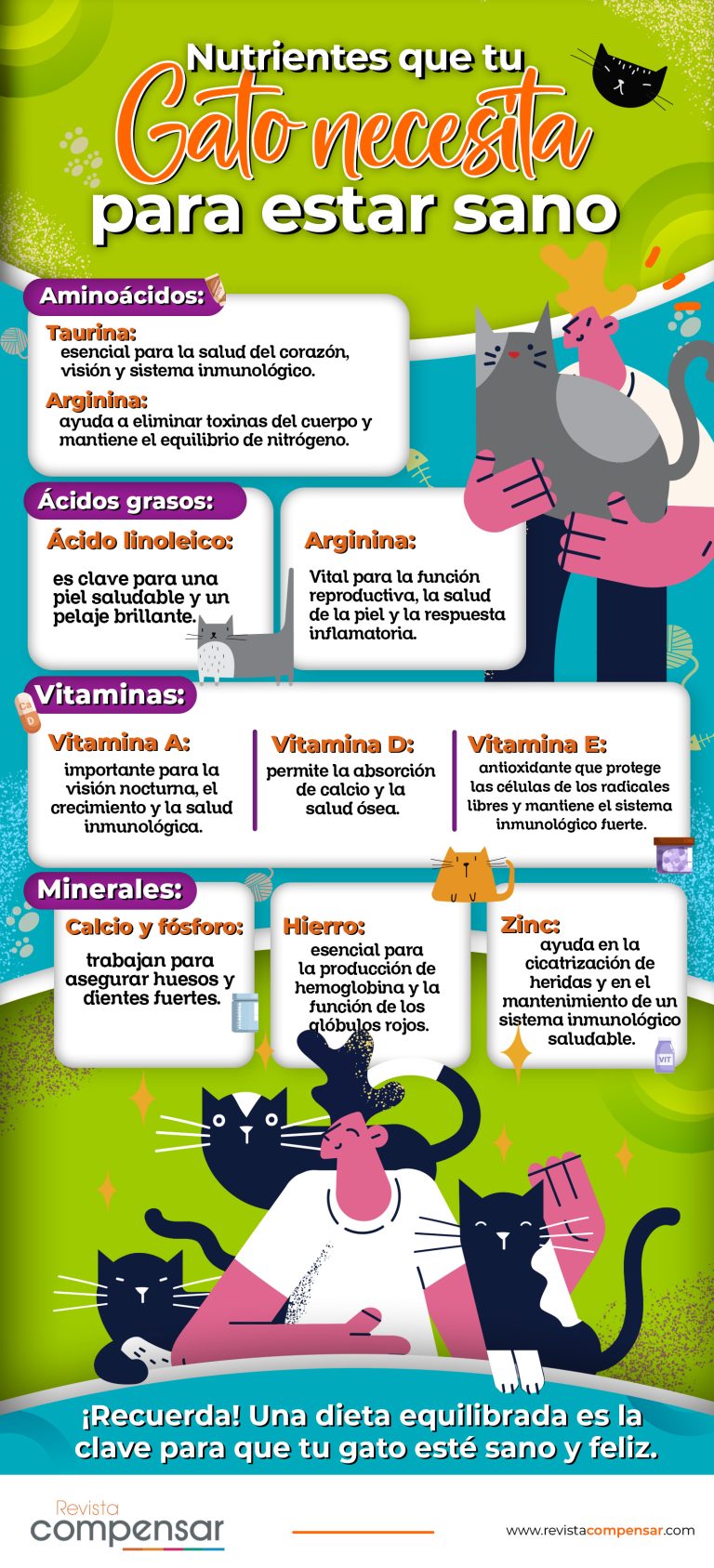 Cómo garantizar la mejor nutrición para tu gato